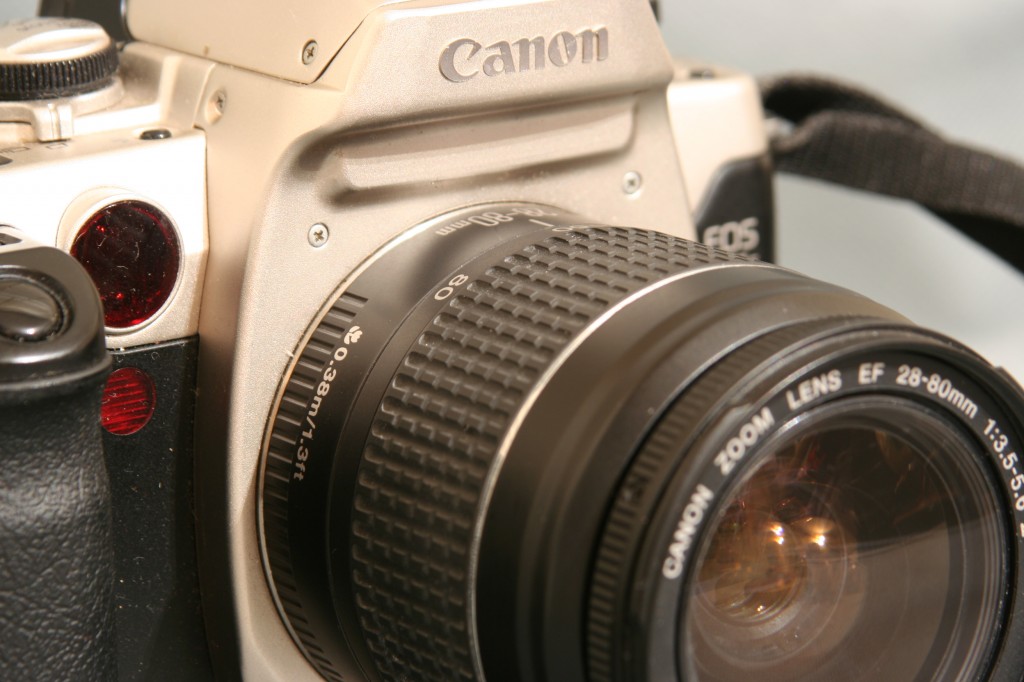 What are the Best Cameras to Help You Grow Orchids? | Orchid Care Zone